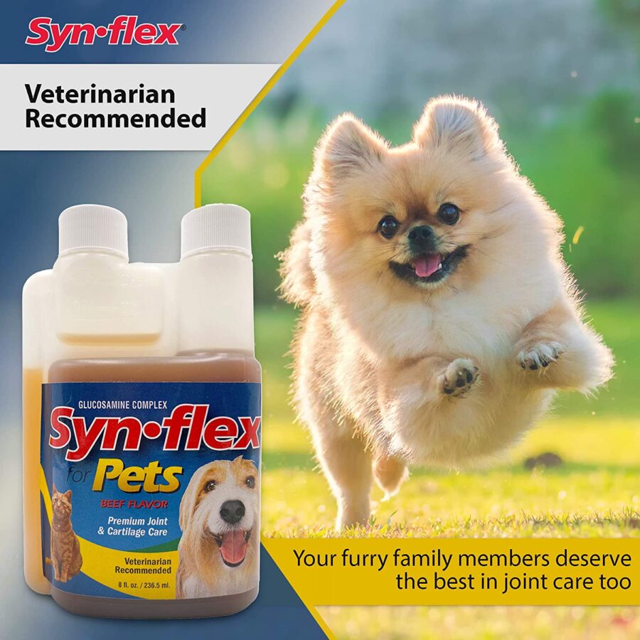 Synflex for Pets Beef Flavor For Sale | Synflex America