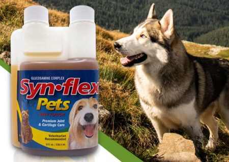 Liquid Glucosamine Chondroitin Supplements for Dogs | Synflex America